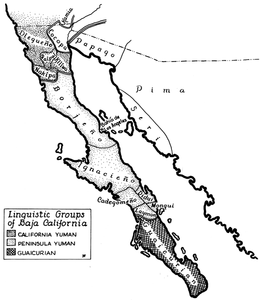 Types of Linguistic Maps: The Mapping of linguistic Features and ...