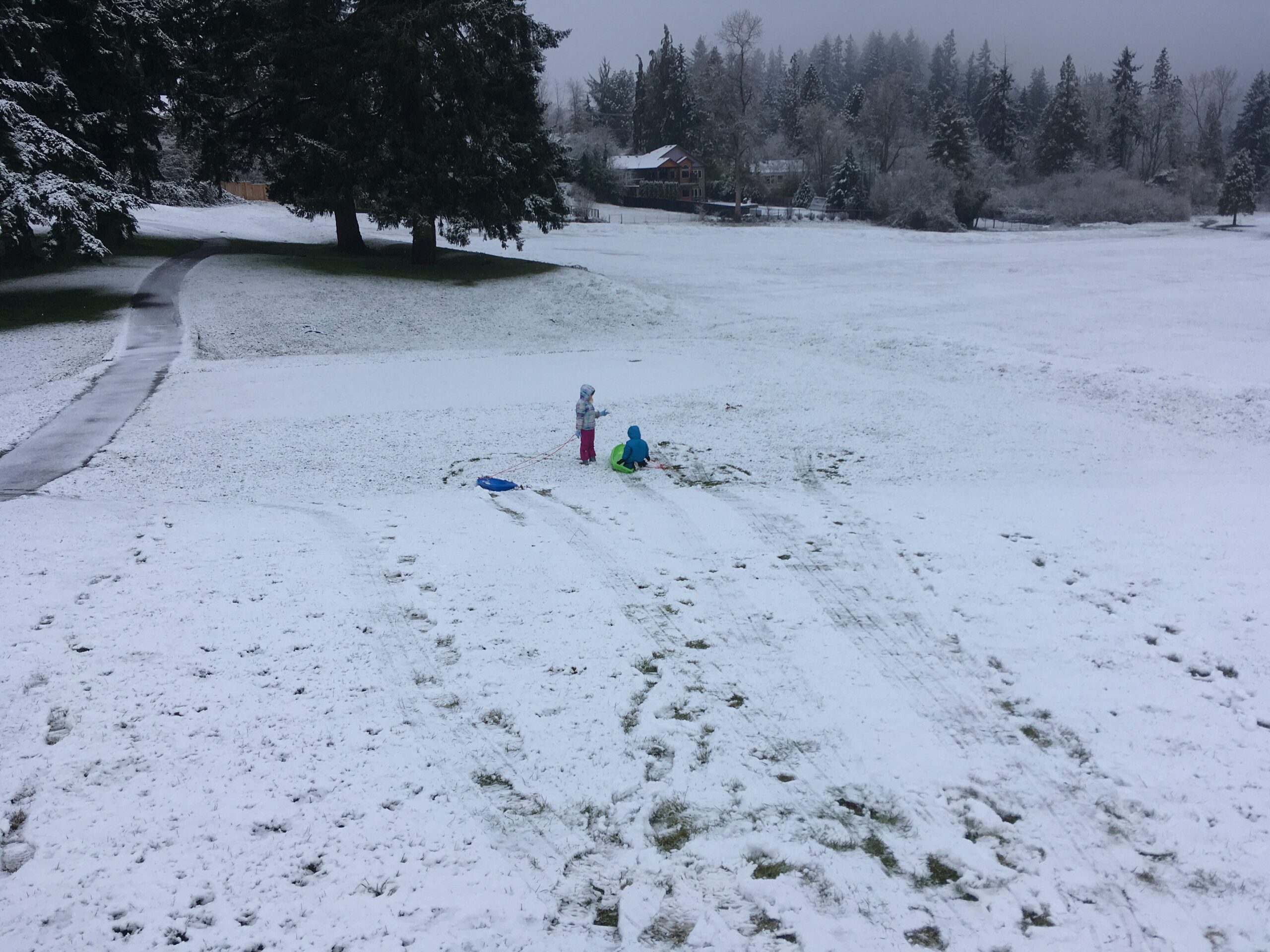 Eugene snow | The Journeyler